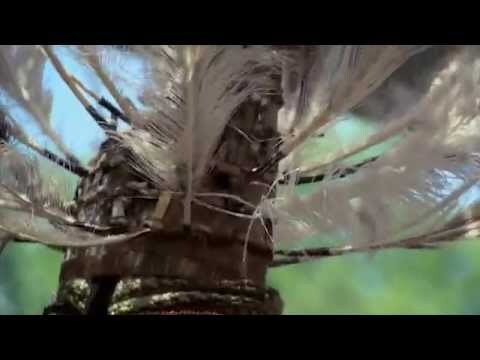 Resources :: Feathers Flying: The Ramogi Dancers | Smithsonian Learning Lab