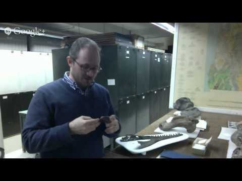 Resources :: #FWTrueLove Live Tour Part 1b: Dr. Nick Pyenson & Fossil ...