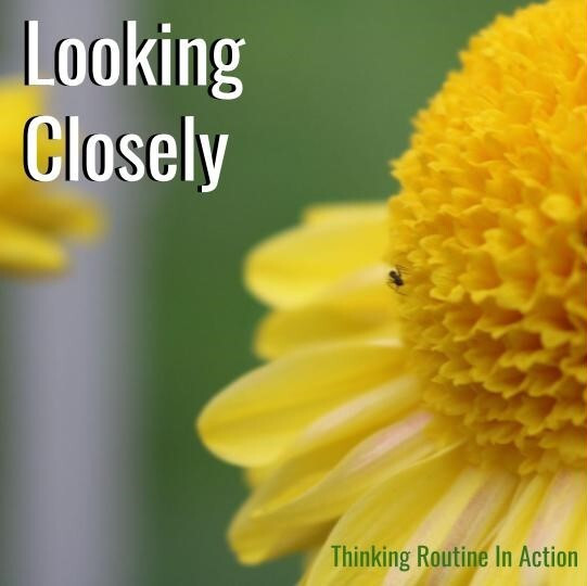 Collections :: Thinking Routines Demo | Smithsonian Learning Lab Collections :: Thinking Routines Demo | Smithsonian Learning Lab