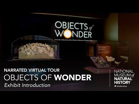 Resources :: Narrated Virtual Tour: Objects of Wonder Exhibit ...