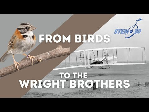 Resources :: From Birds to Brothers - the Evolution of Flight ...