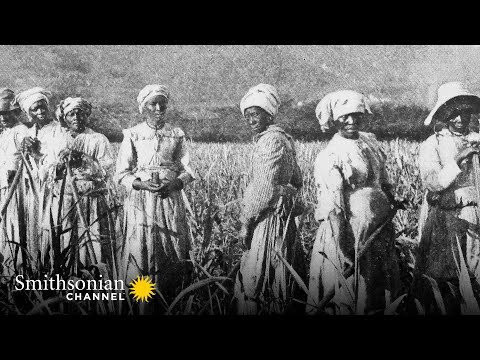 Resources :: The Last Ship to Bring Enslaved Africans to America ...