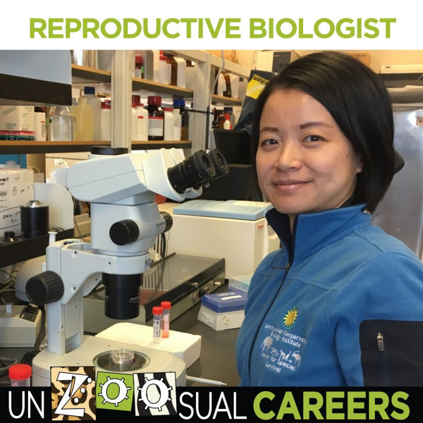 Collections :: UnZOOsual Careers: Reproductive Biology | Smithsonian ...