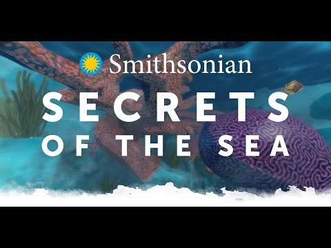 Resources :: Smithsonian "Secrets of the Sea" Trailer | Smithsonian ...