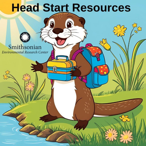 Collections :: Head Start Resources | Smithsonian Learning Lab