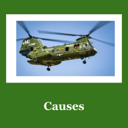 Collections :: The Vietnam War | Smithsonian Learning Lab