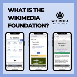 Collections :: Wikipedia and Representation | Smithsonian Learning Lab