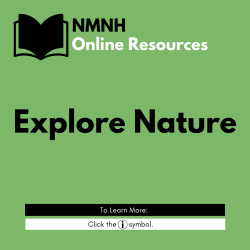 Collections :: Featured Smithsonian Children's Resources & Programs ...