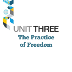 Collections :: AP African American Studies | Teaching with Objects ...